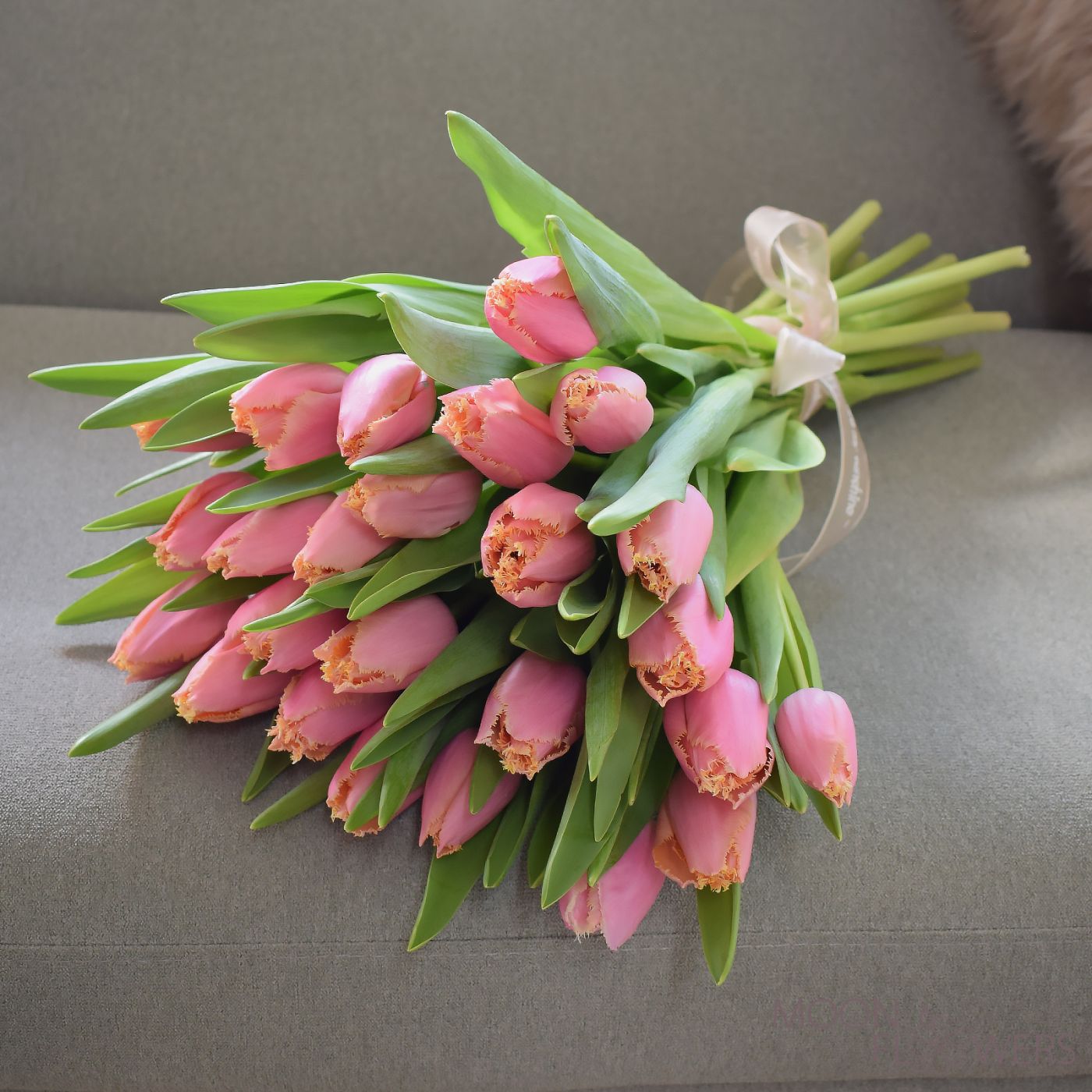 Lalea roz-galben - Livrare flori Chișinău - MoonFlowers